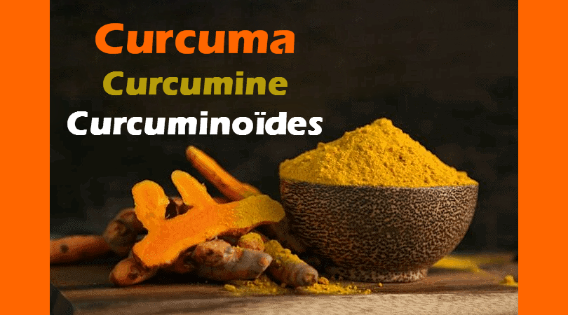 Curcumine et cancers urinaires – Curcumideal-Science-Nature